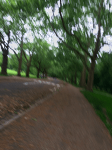 Once a runner, always a runner! – Happy Feet Yogi